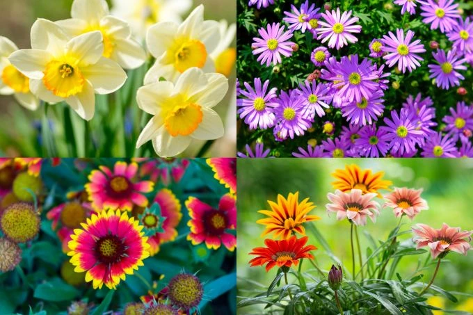 Vasant rutu - Season of Detox and self-care