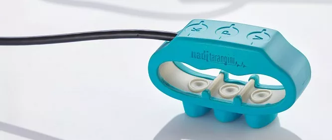 Product - Nadi Tarangini