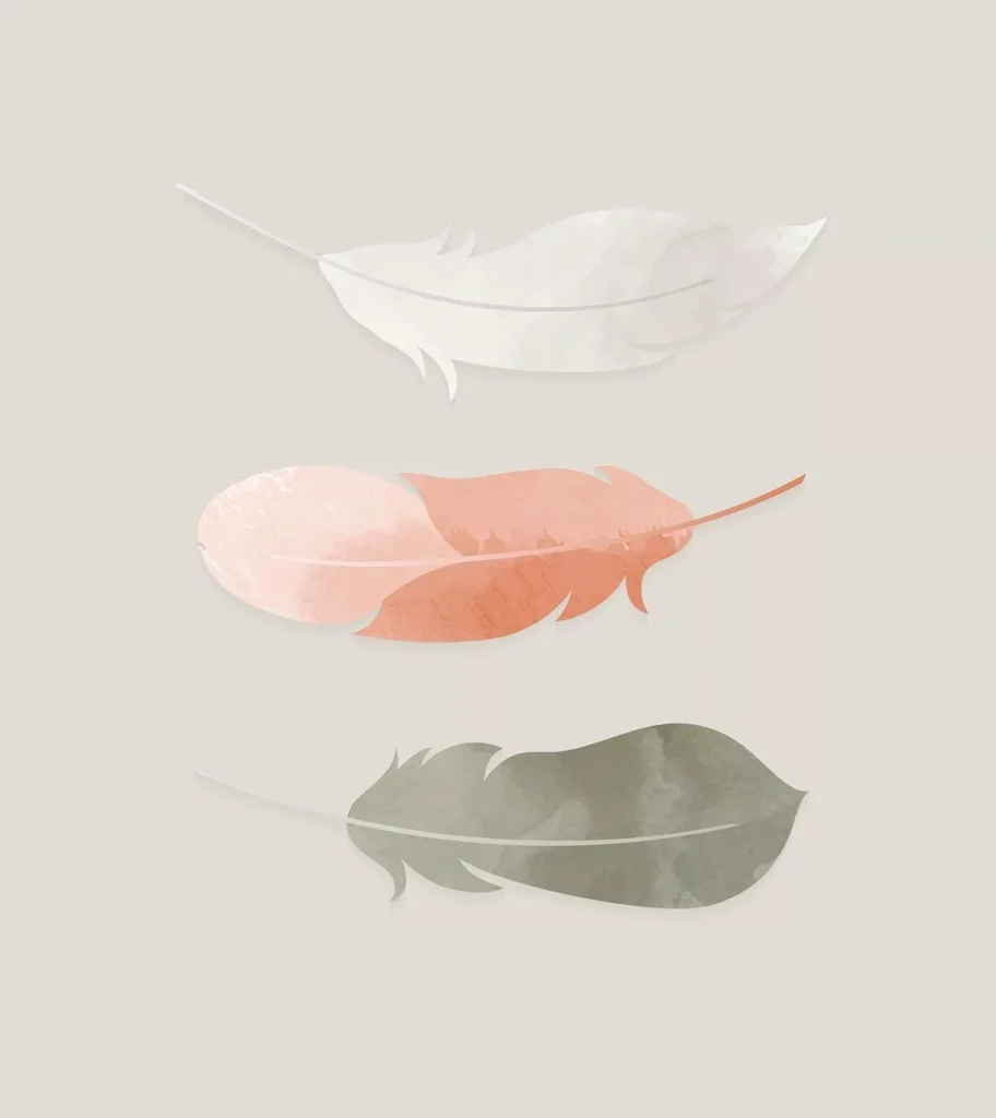 Product - Nadi Tarangini