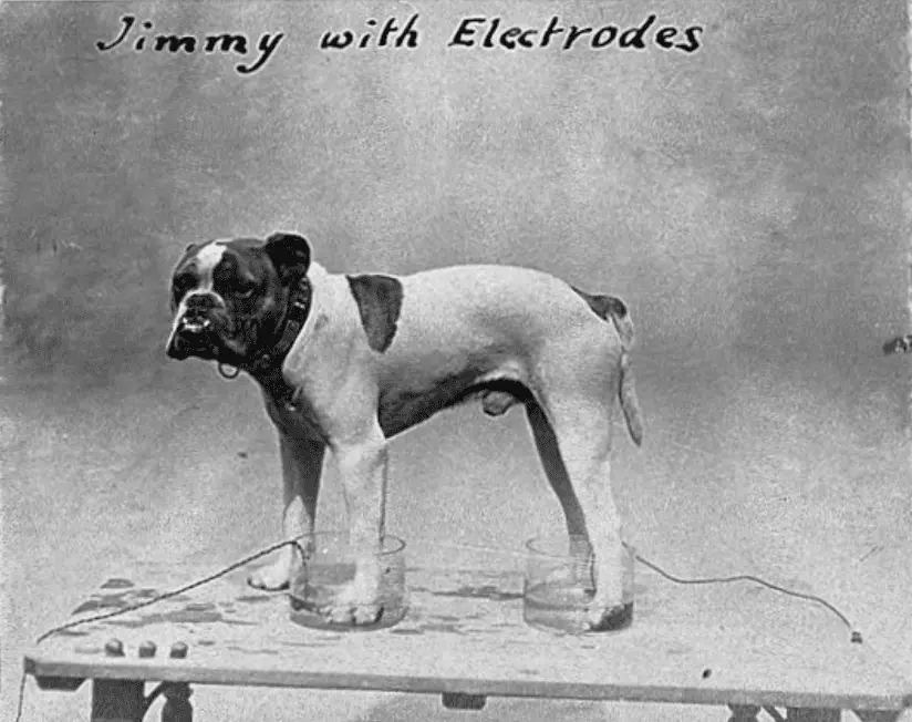 Landmarks in the evolution journey of ECG machine. - Nadi Tarangini