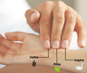 Ayurvedic Pulse Diagnosis A Deep Dive into Holistic Well-Being